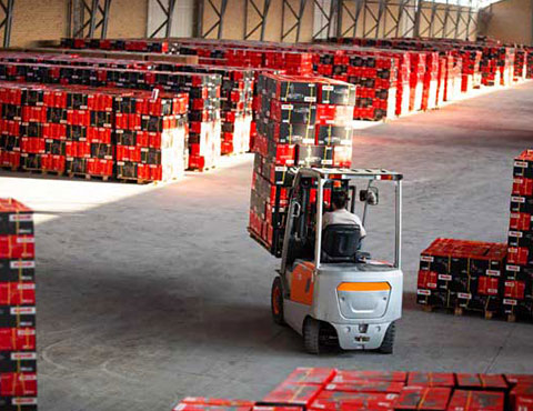 Hardware Tools, Power Tools, Manufacturer & Supplier - RONIX